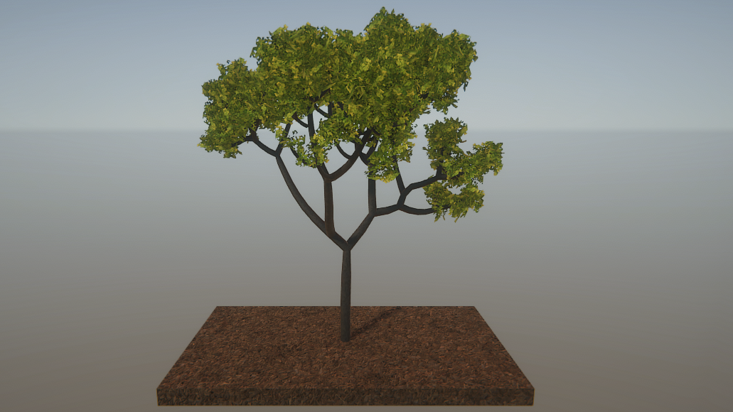 Ben Windley - Vegetation Simulation