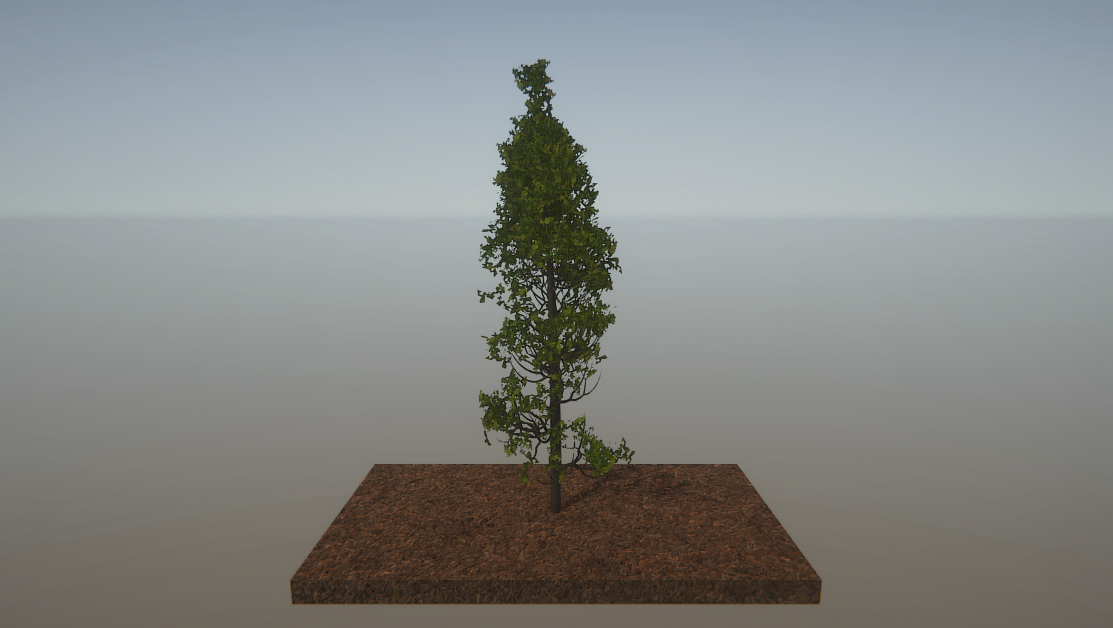 Ben Windley - Vegetation Simulation