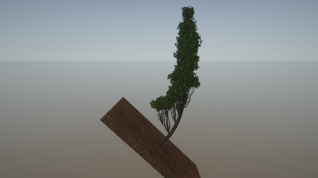 Ben Windley - Vegetation Simulation